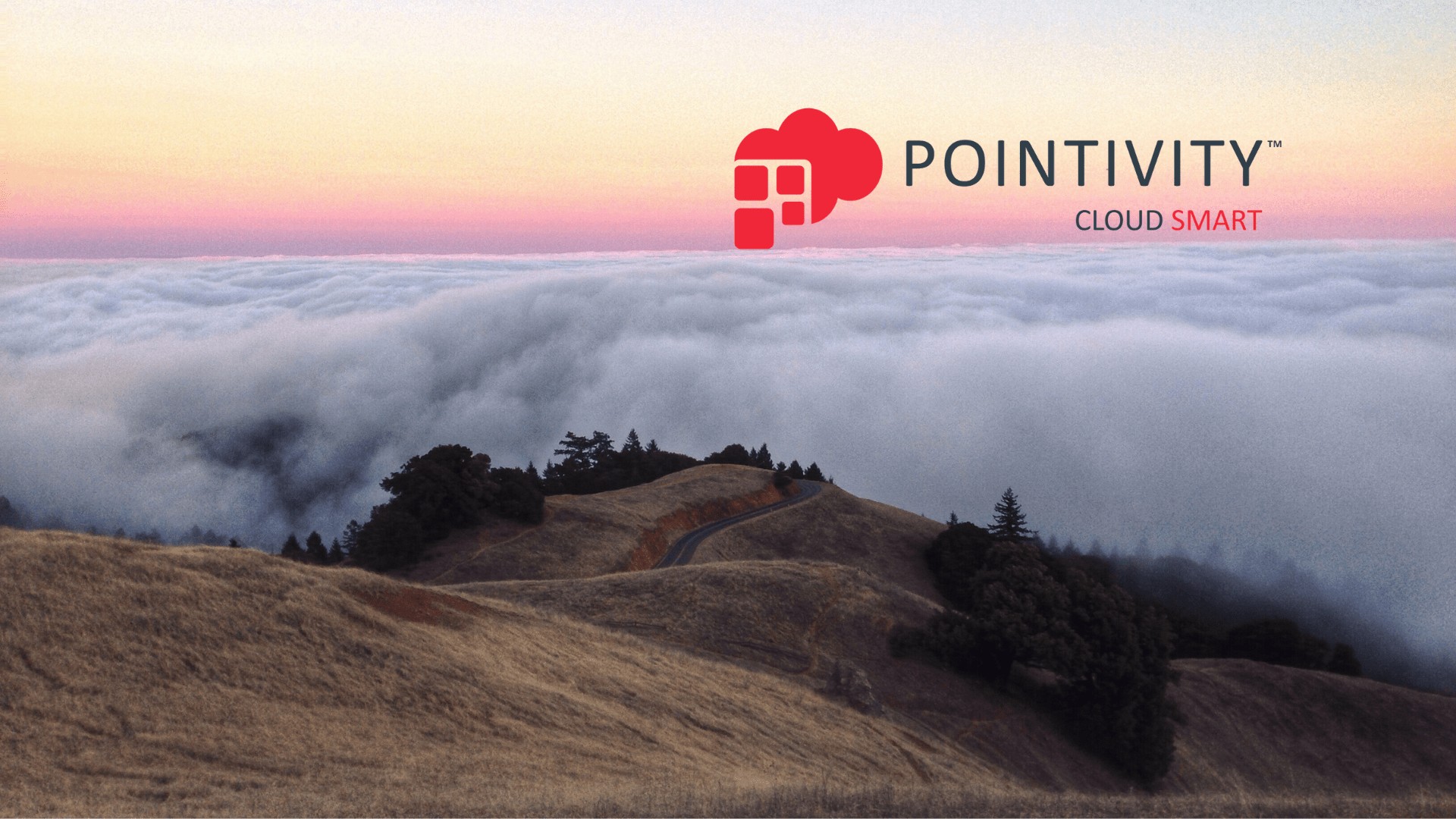 Leveraging the Cloud with Directory-as-a-Service - Pointivity